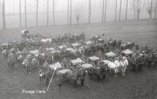 limbered wagon wwi - A Year of War